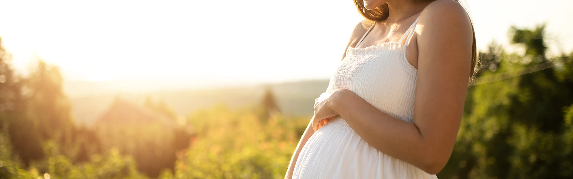 Surrogate Compensation Golden Surrogacy 70 000 Minimum